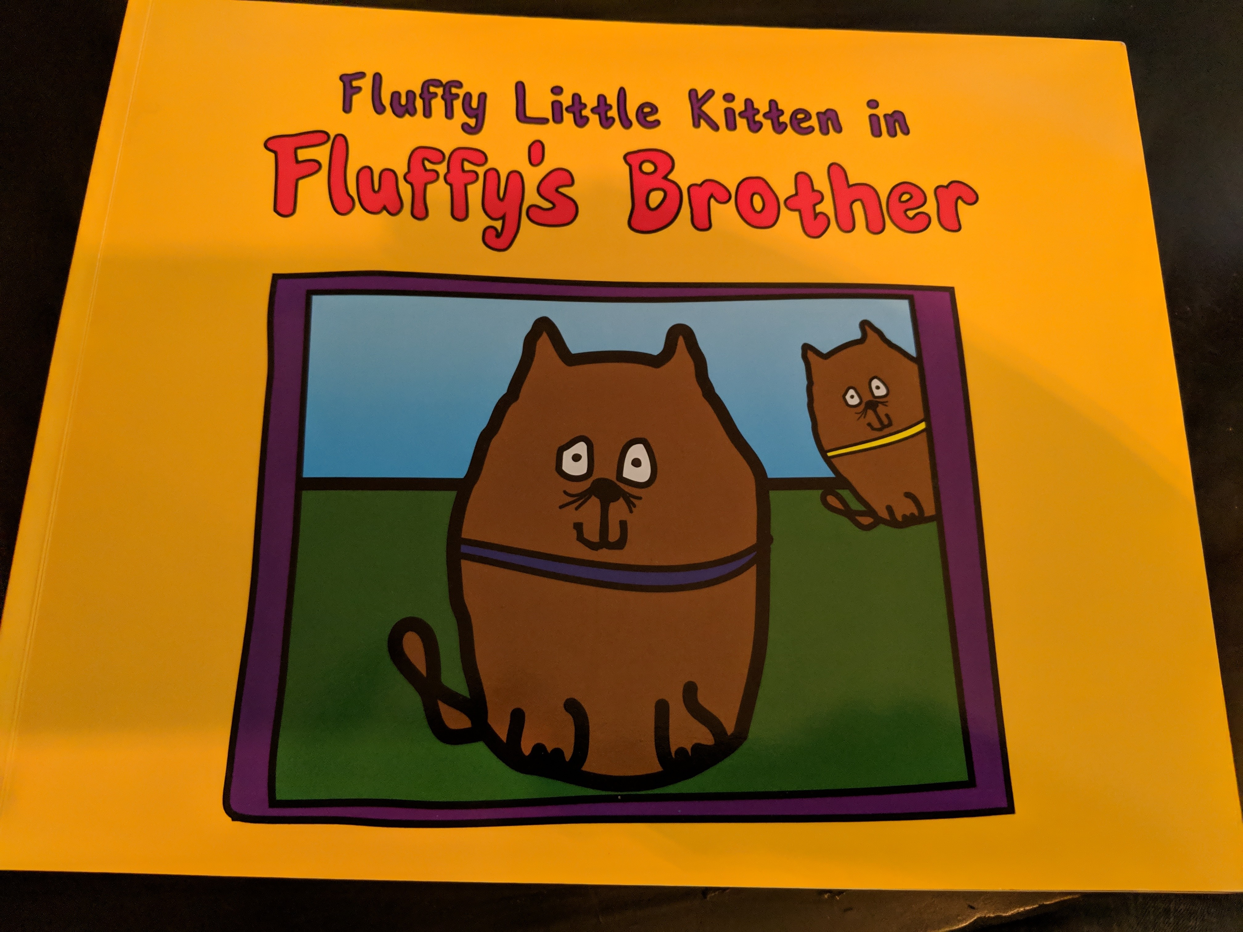 Here’s Where to Buy Fluffy Books – Amazon – Fluffy Little Kitten's Website